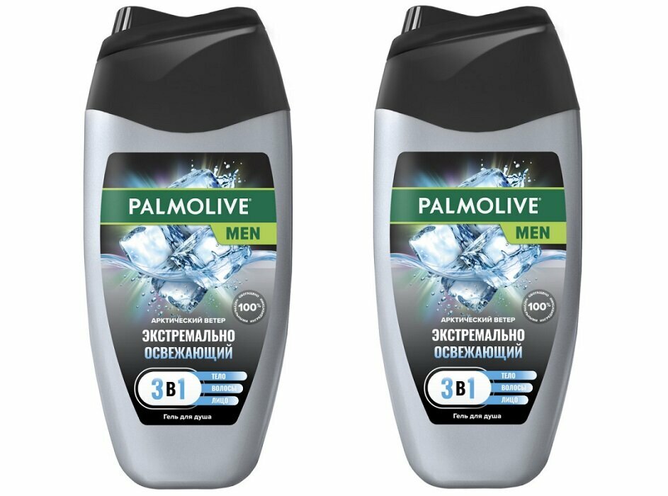 Гель для душа Palmolive мужской Арктический ветер, 450 мл, 2 шт.