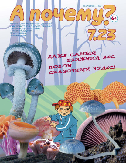 А почему? №07/2023 [Цифровая книга]