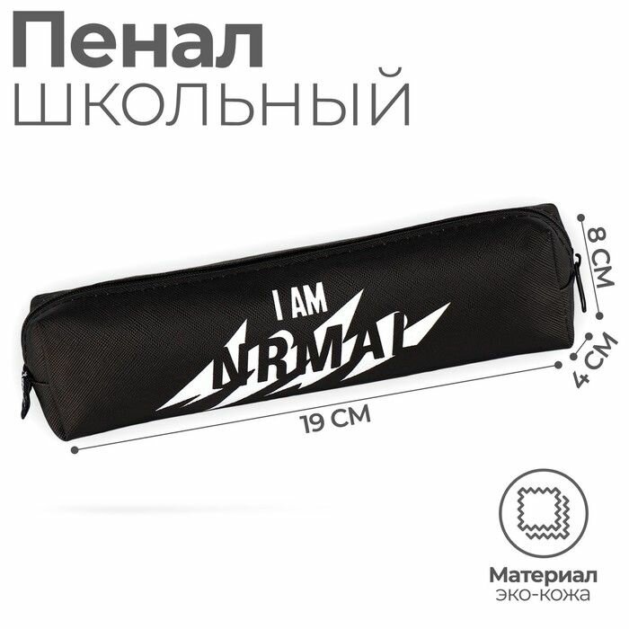 Пенал из искусственной кожи "I AM NRMAL" на молнии, 1 отделение, размер 19х8х3 см, детский (подростковый) школьный чехол без наполнения, органайзер для канцелярии, карандашей и ручек