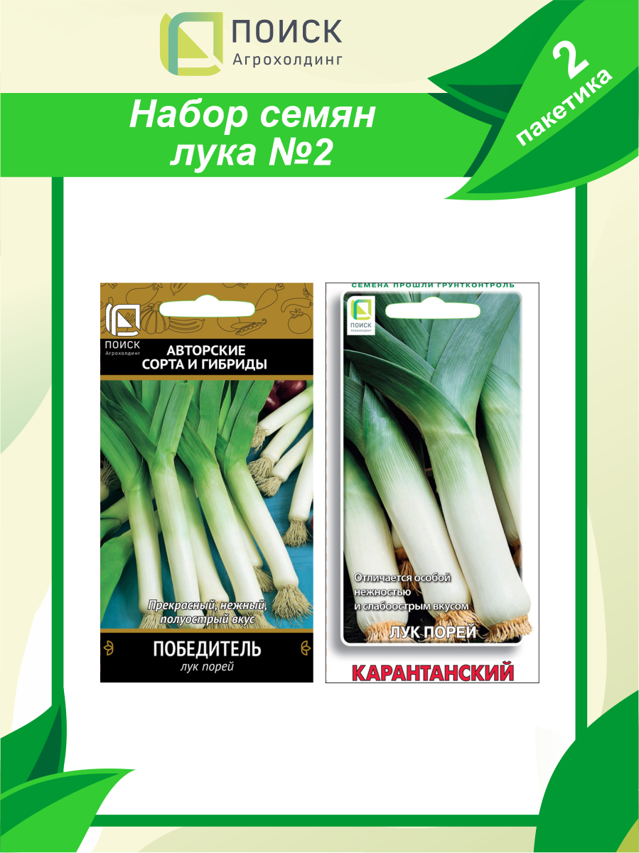 Набор семян Поиск лука N2 / Семена лука