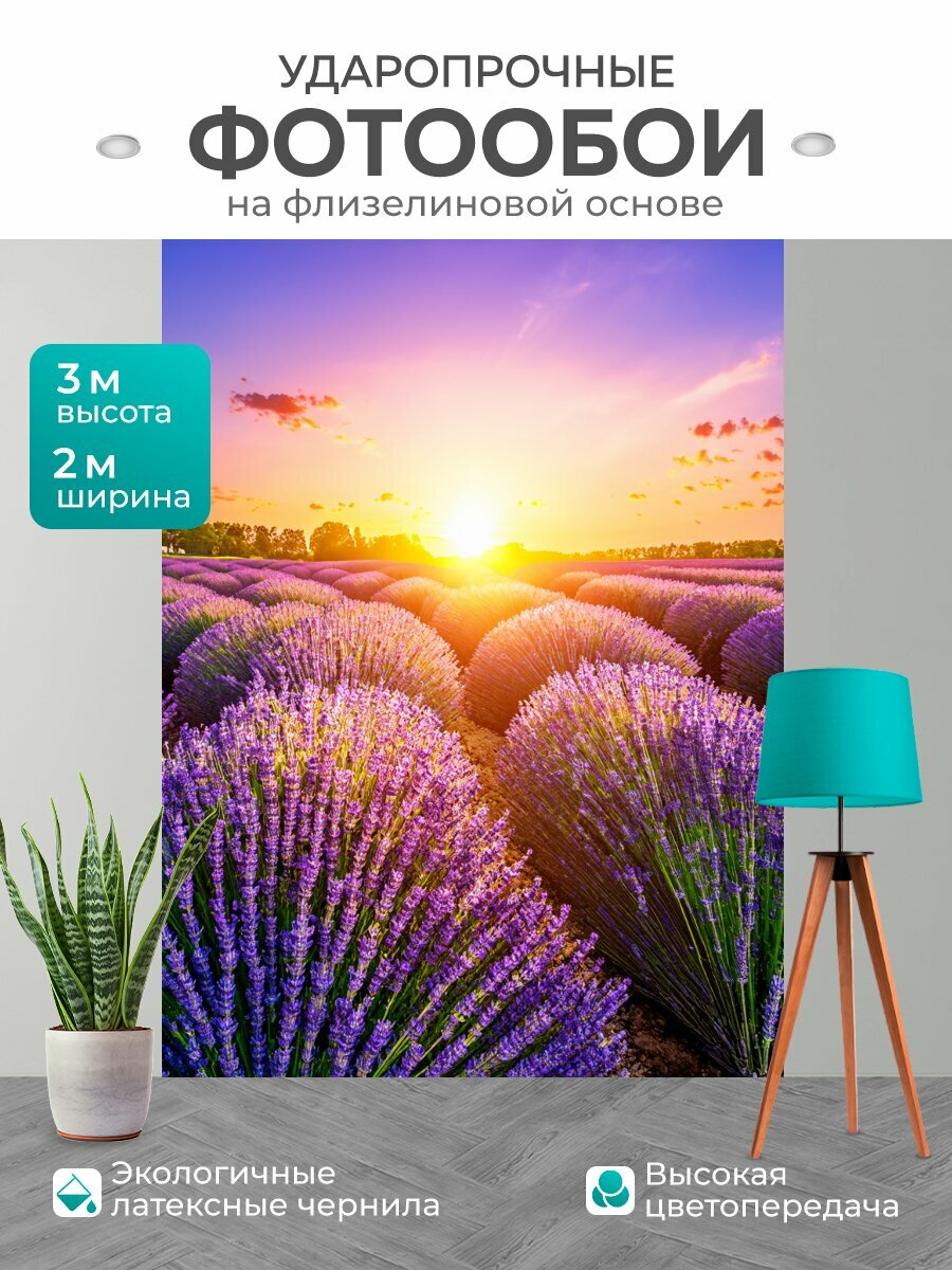 Фотообои моющиеся ударопрочные "Фиолетовые поля лаванды под закатным небом" 200x300 см. флизелиновые на стену