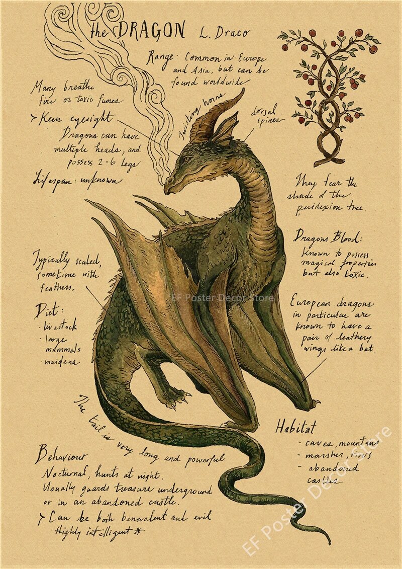 Плакат дракон L. Draco, A3, цвет 3