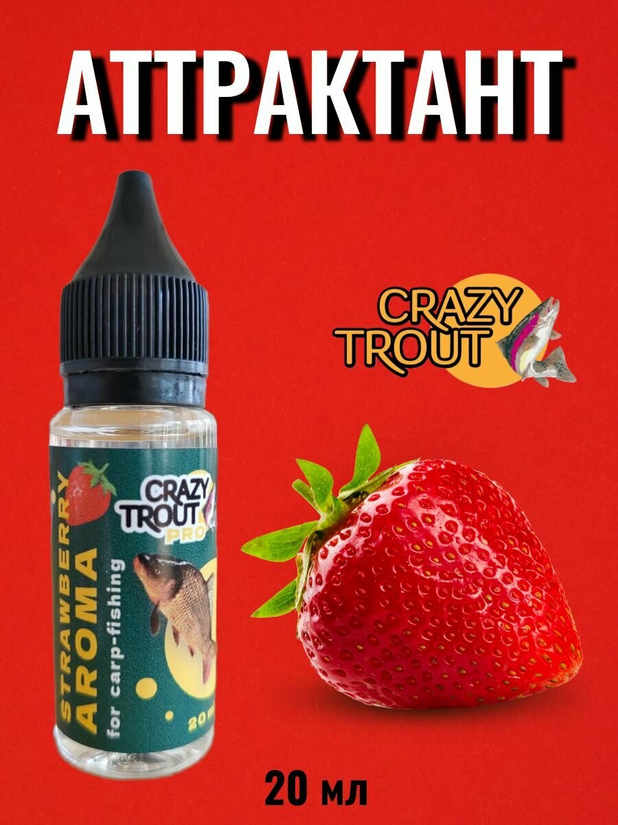 CRAZY TROUT / Аттрактант для рыбалки, Активатор клёва, Ароматизатор для ловли карпа, Запах клубники, 20 мл