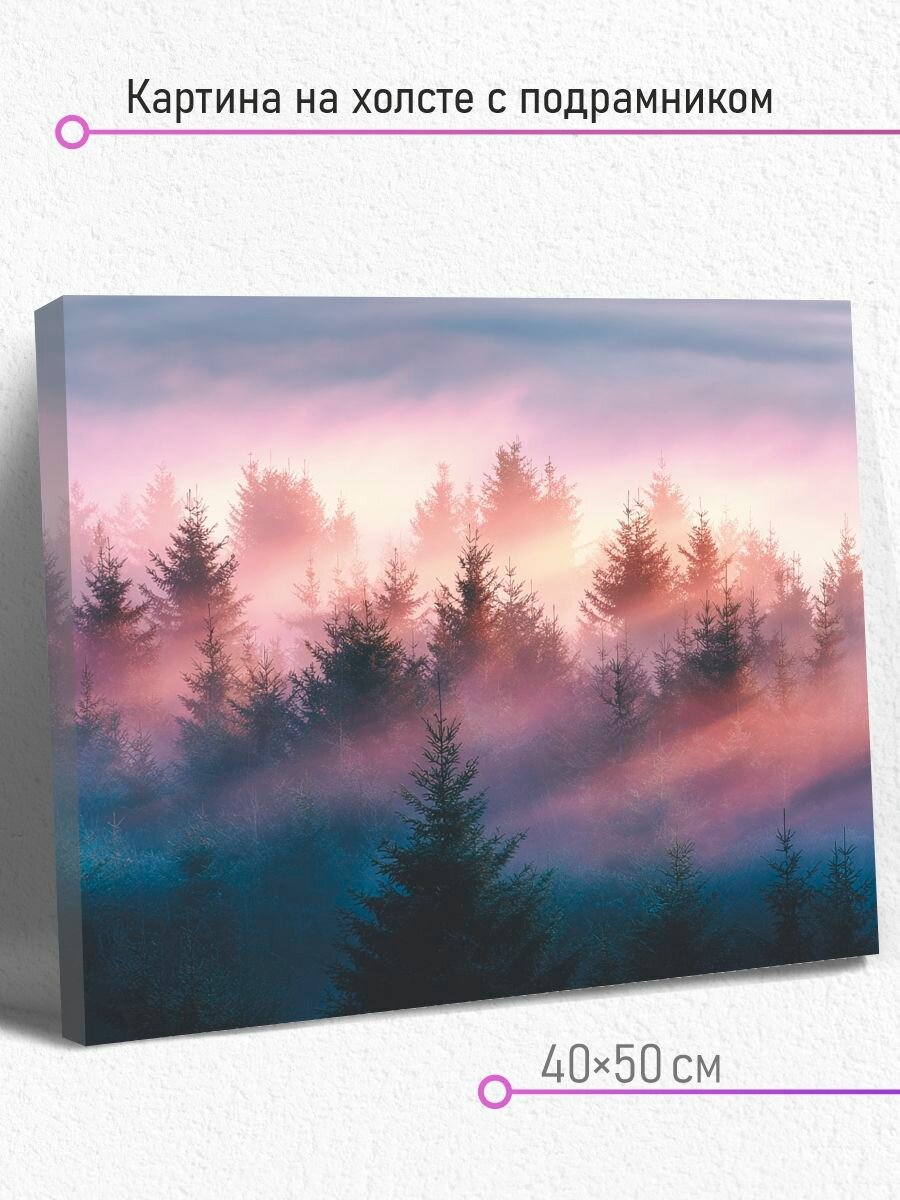 Картина интерьерная на холсте 40х50 см. Природа, горы, море, волны, пейзажи, небо, путешествия. "Туманное утро в лесу", арт. 6791/