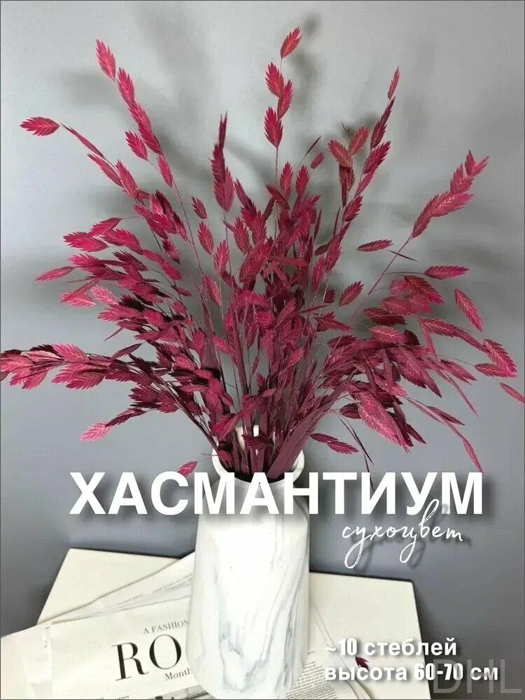 Стабилизированные цветы Овёс, Мискантус, 70 см, 50 гр, 10 шт