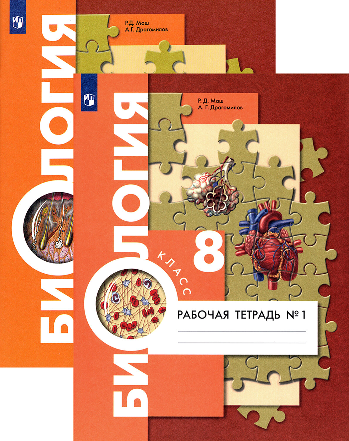 Биология. 8 класс. Рабочая тетрадь. Концентрированный курс