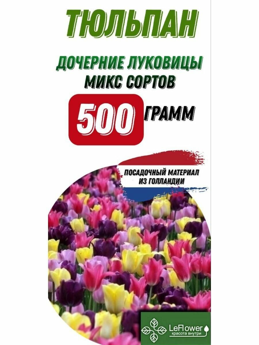 Тюльпан Луковица, дочерние, 500г (LeFlower)
