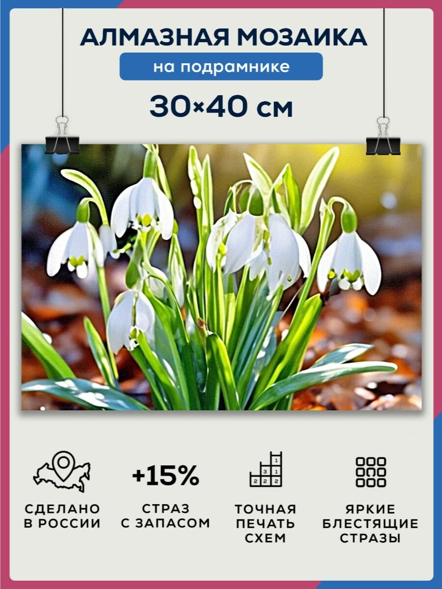 Алмазная мозаика 30x40 Подснежники уснули на подрамнике