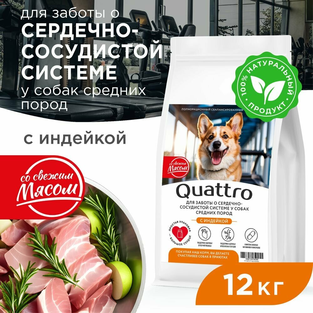 Корм сухой для взрослых собак средних пород, премиум полнорационный комплекс, забота о сердце и сосудах, с индейкой, 12 кг, QUATTRO