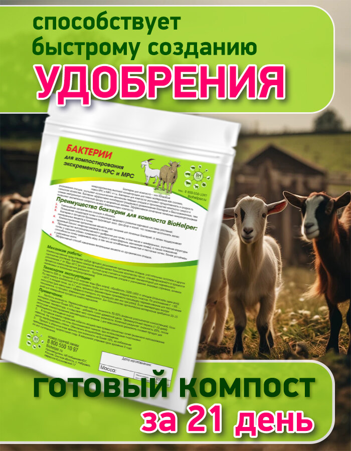 Бактерии для переработки навоза КРС и МРС 300 гр