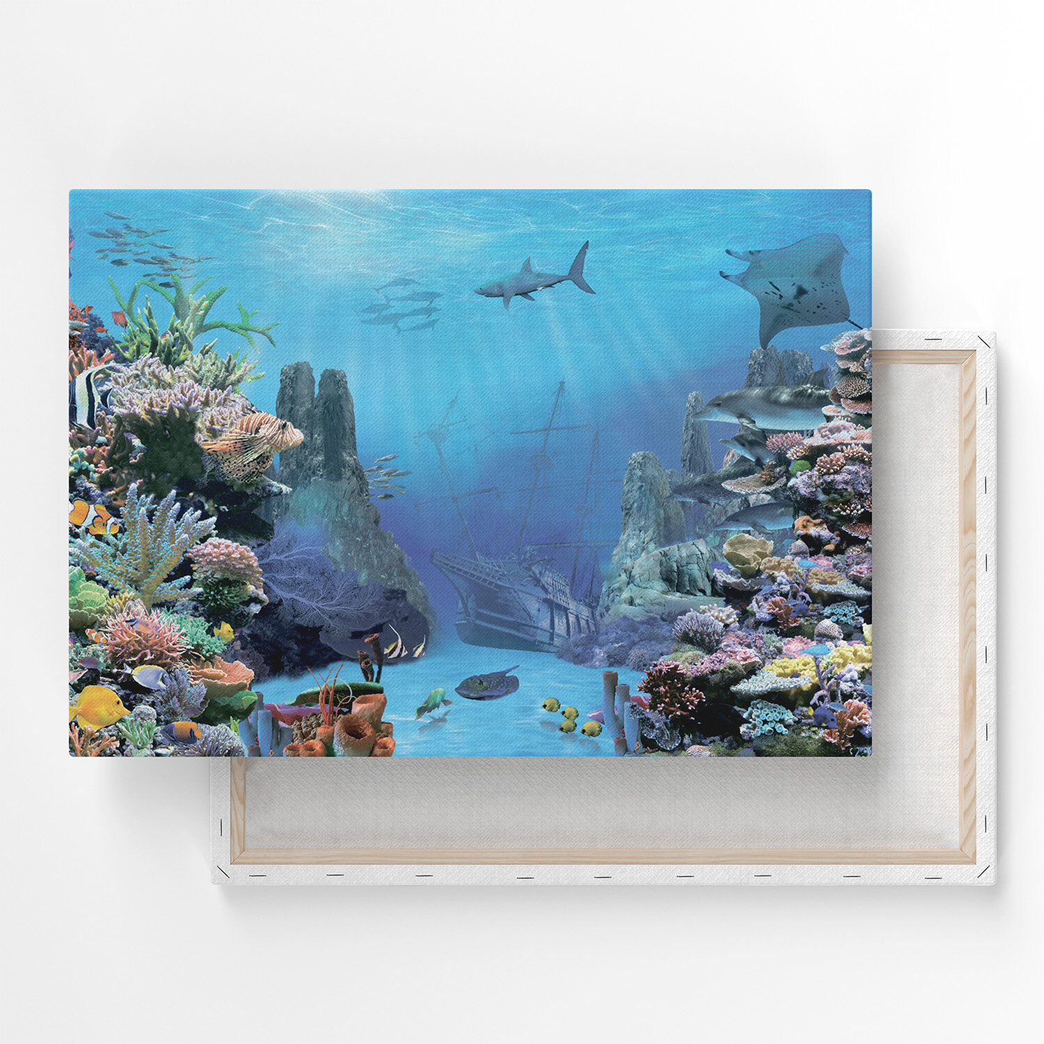 Картина на холсте, репродукция / Подводный мир / Размер 40 x 53 см