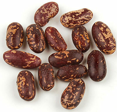 Семена фасоли Тип-Топ (зерновая) 5 гр.