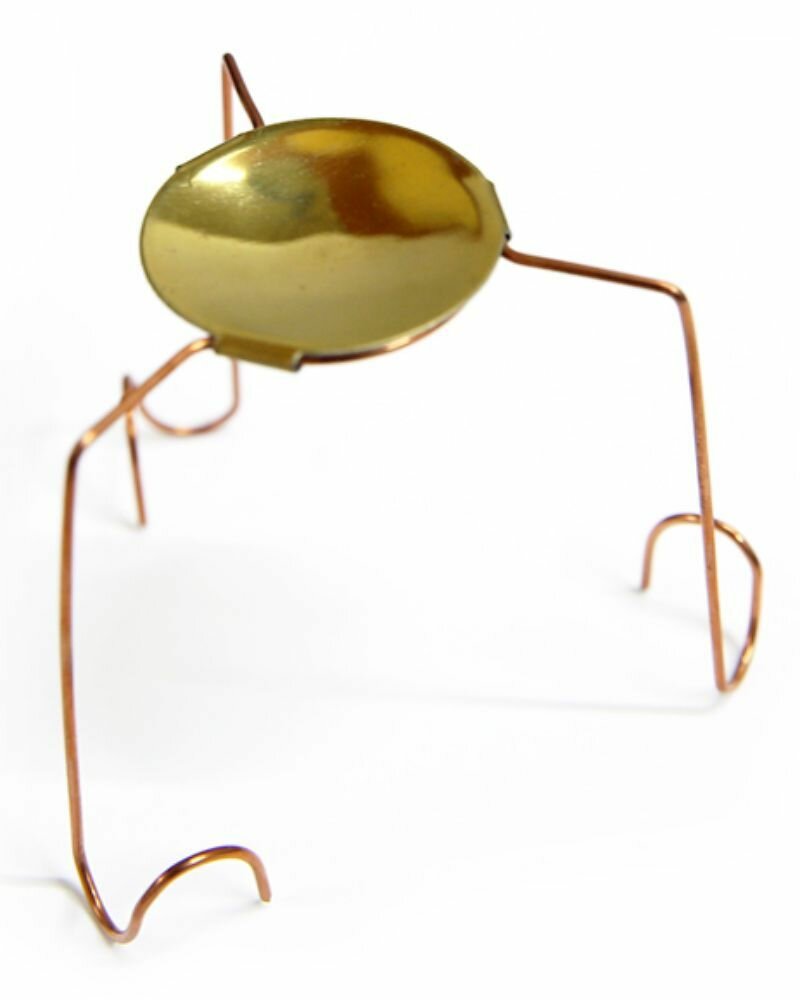 Ладанница - паучок