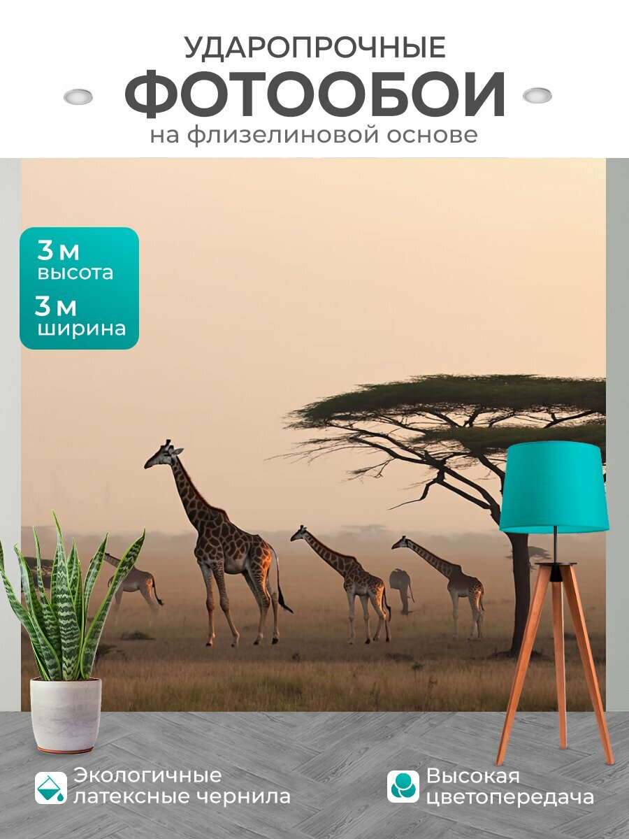 Фотообои моющиеся ударопрочные "Туман в стиле фотореализм: саванна в тумане, силуэты жирафов и деревьев, создающие экзотическое настроение" 300x300 см. флизелиновые на стену