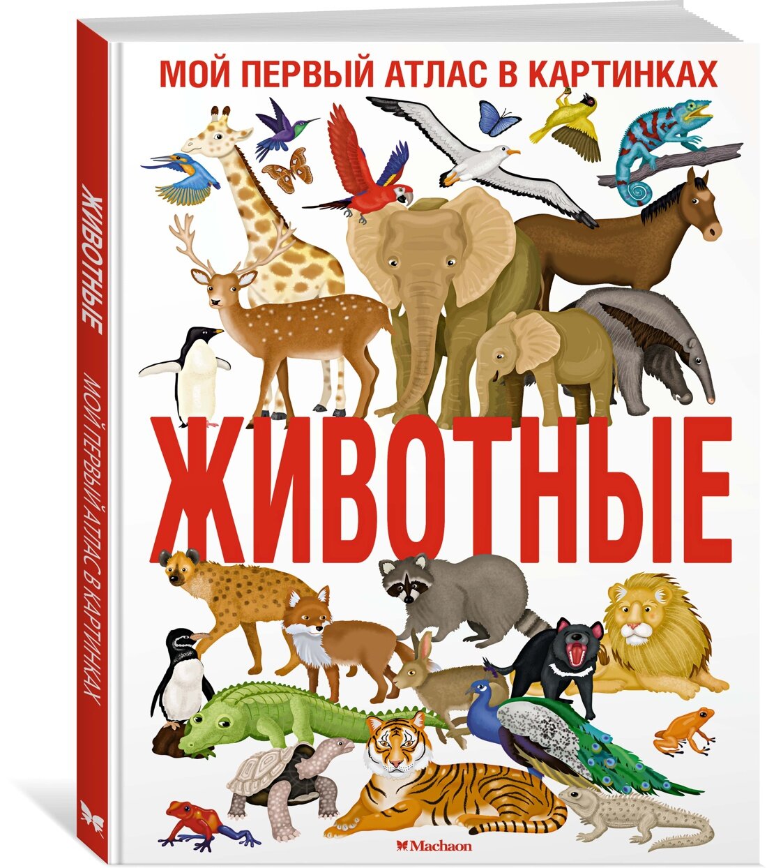Энциклопедии. Животные. Мой первый атлас в картинках. Барсотти Илария