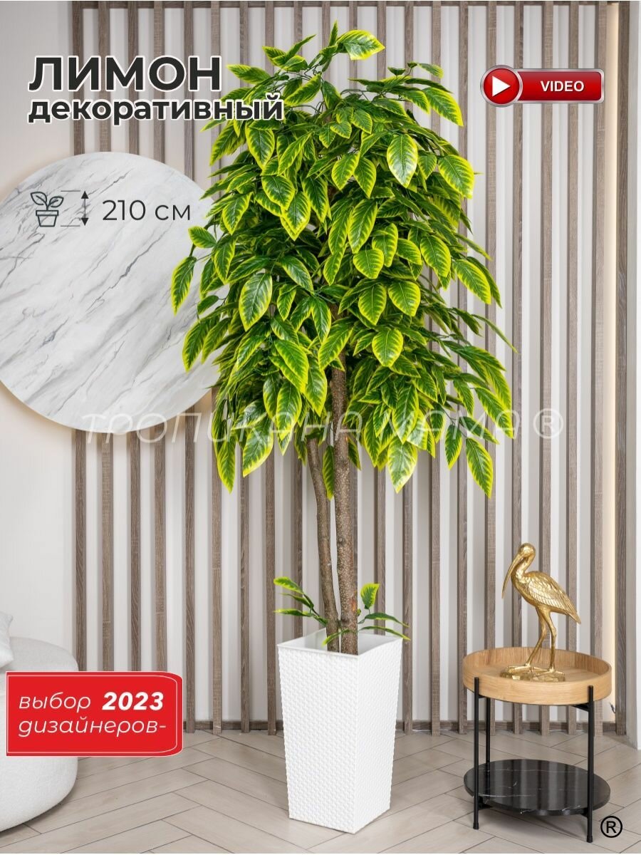 Искусственное дерево лимон