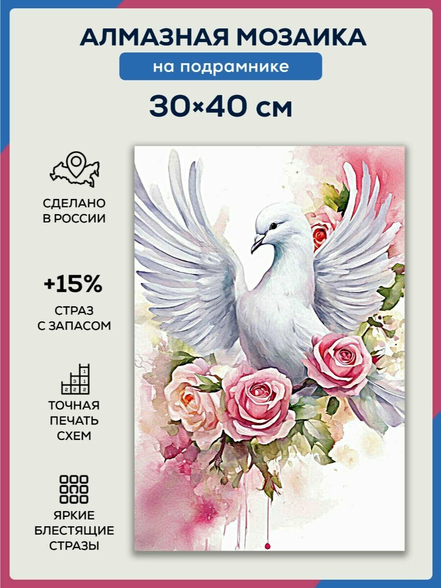 Алмазная мозаика 30x40 Белый голубь на подрамнике