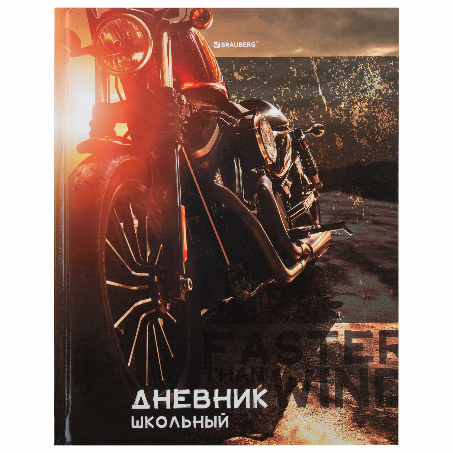 Дневник 5-11 класс 48 л, твердый, BRAUBERG, глянцевая ламинация, с подсказом, "Байк", 106867