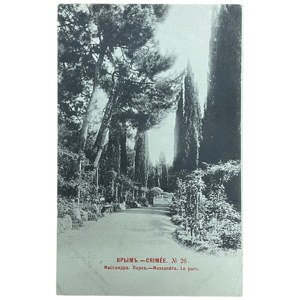 Почтовая открытка "Крым. Массандра. Парк" 1900-1917 гг. Российская Империя