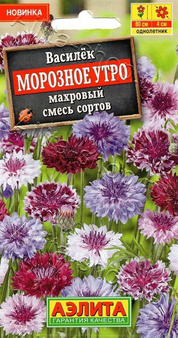 Василек махровый Морозное утро (3 упаковки), смесь окрасок