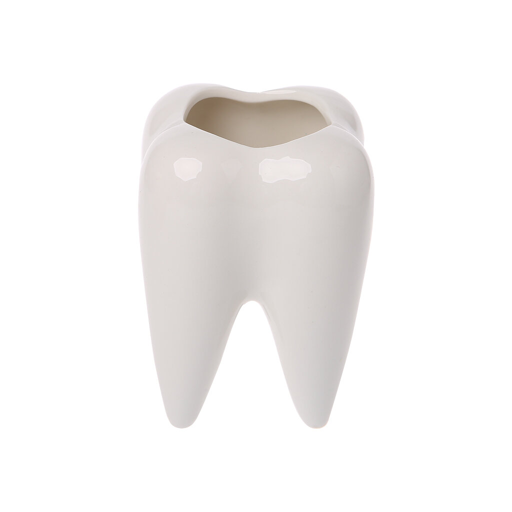 Мясистый керамический зубок маленького цветочного горшка