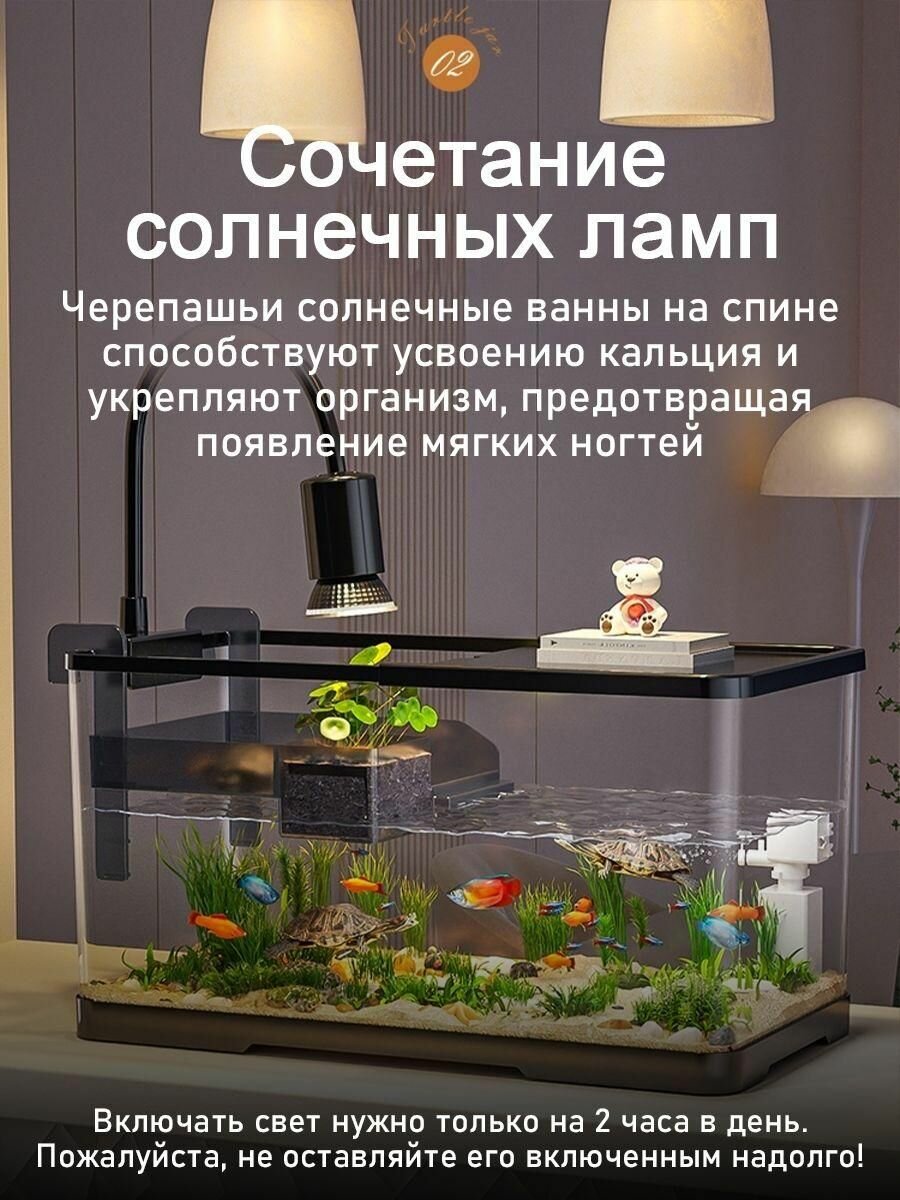 Аквариум — фото 1