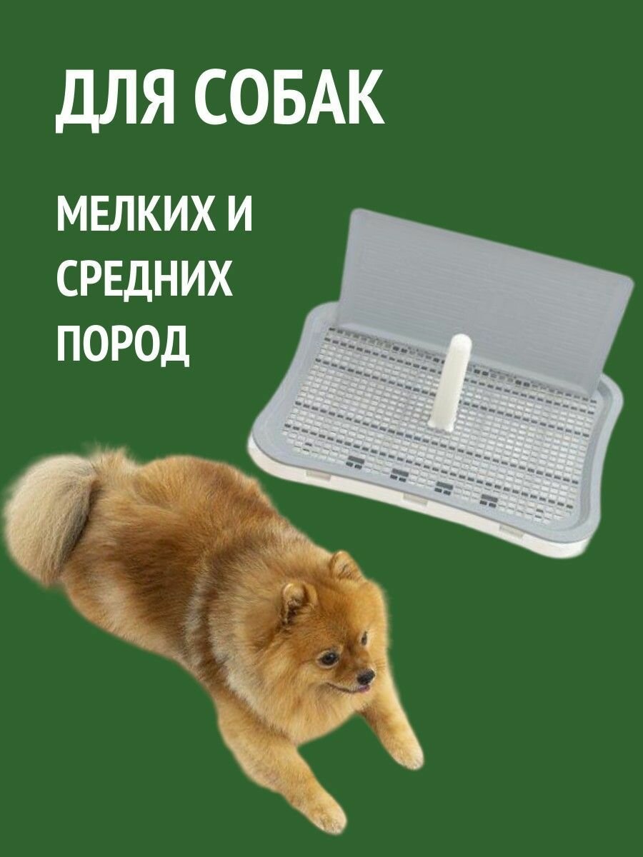 Туалет для животных — фото 1