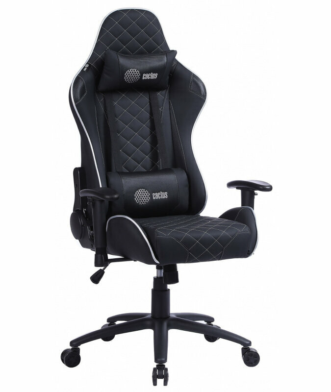 Кресло игровое Cactus CS-CHR-030BLS, обивка: эко. кожа, цвет: черный/серебристый