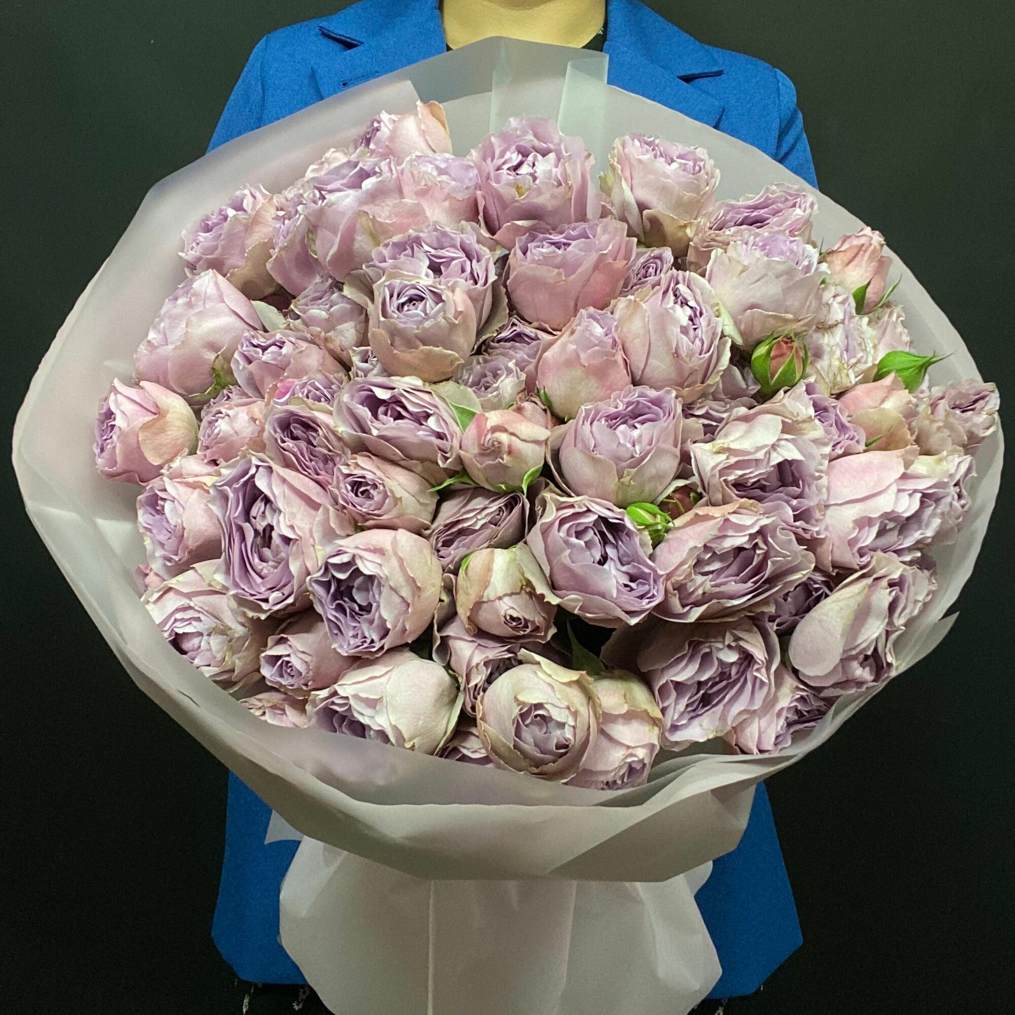 Сиреневые розы