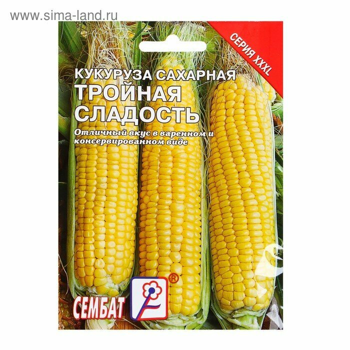 Семена Кукуруза сахарная «Тройная Сладость», XXXL, «Сембат», 25 г