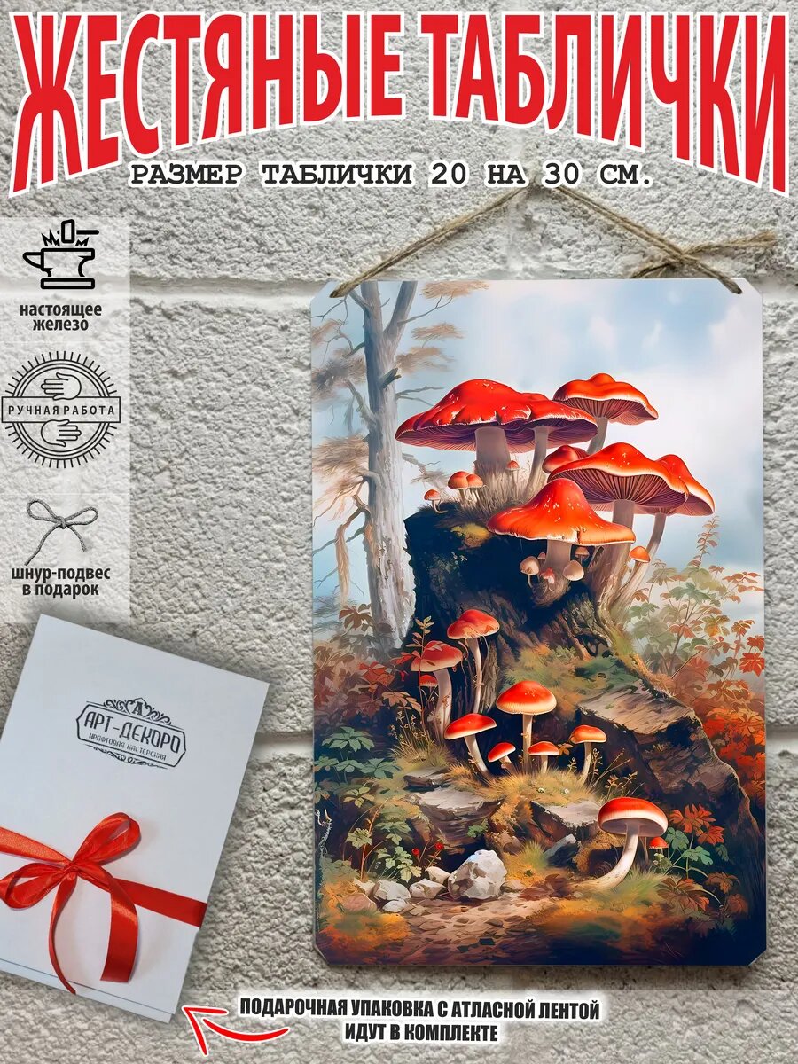 Картина на стену, постер на стену Грибы 20 на 30 см, шнур-подвес в подарок