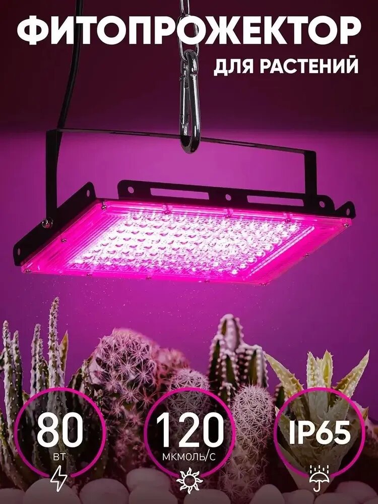 Фитопрожектор для растений светодиодный ЭРА FITO-80W-RB-LED-Y красно-синего спектра