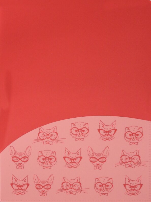 Папка Феникс + "6 Мопсы", пластик, для офиса, А4, 3 отделения