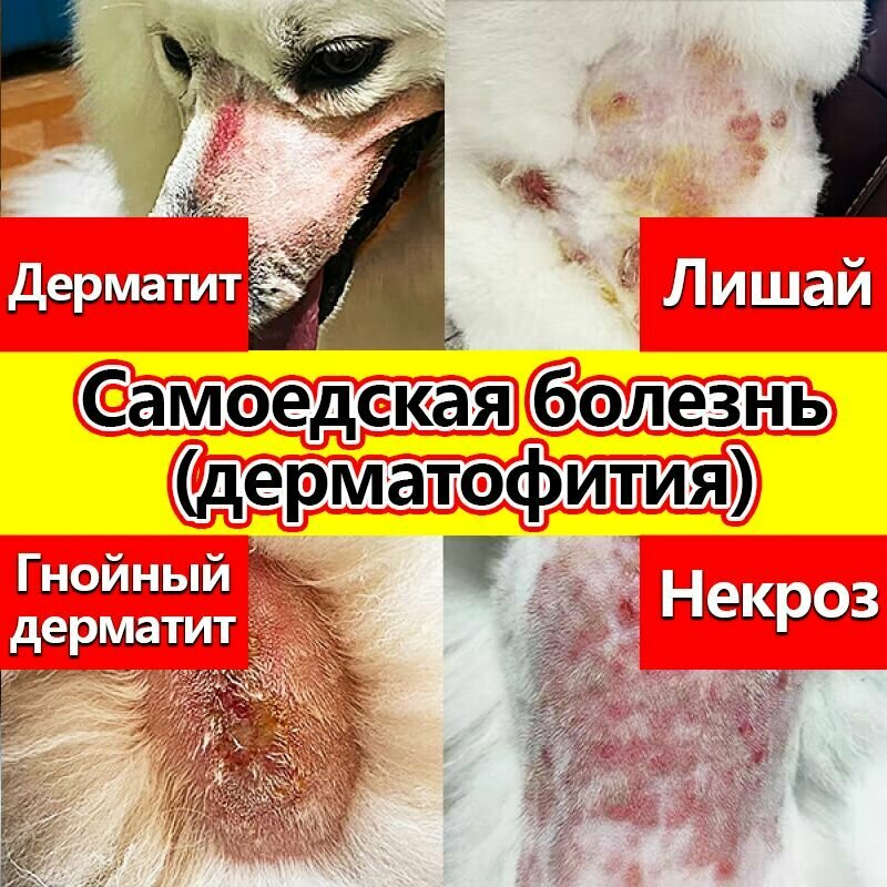 Спрей от опоясывающего лишая для кошек и собак для облегчения зуда - Товары для ухода за домашними животными