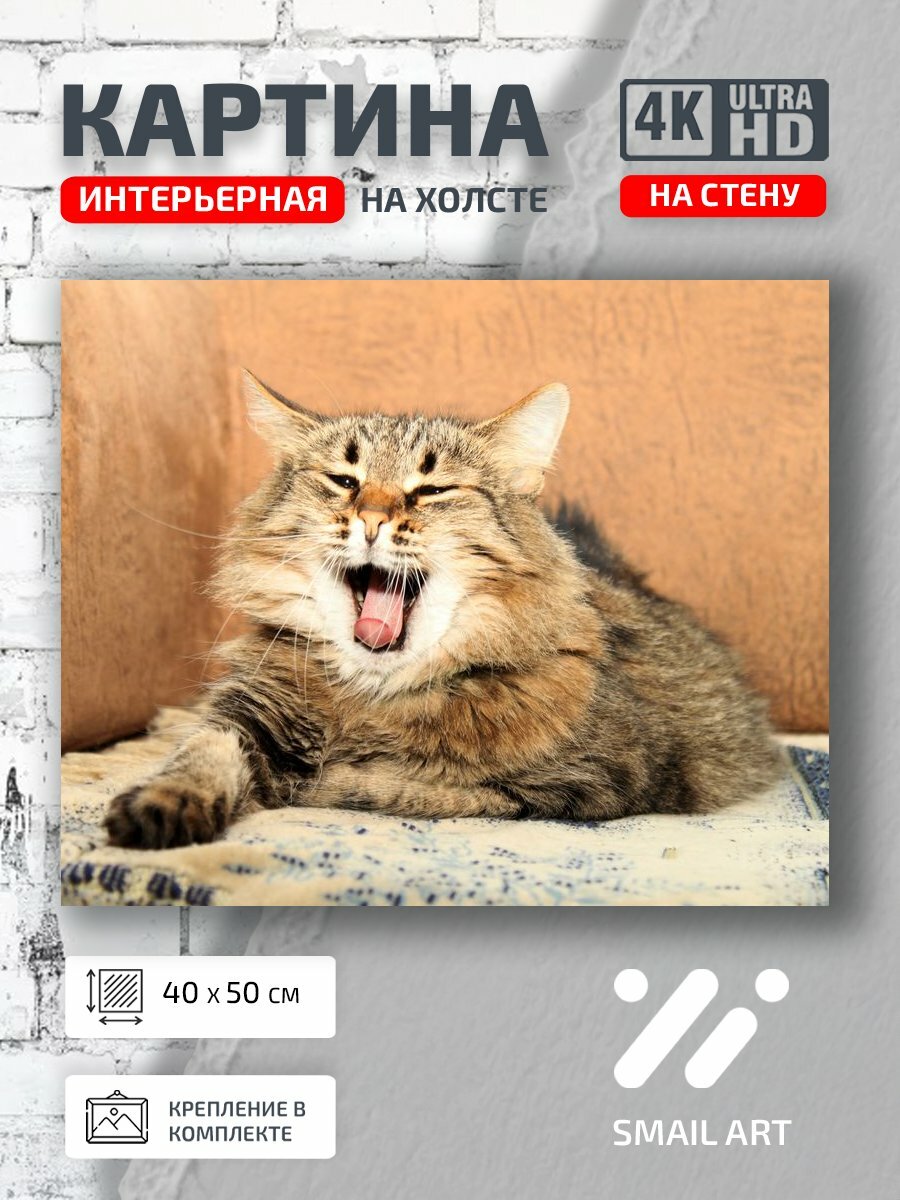 Картина на холсте интерьерная 40 на 50 на стену Покрывале Animal для гостиной animal style