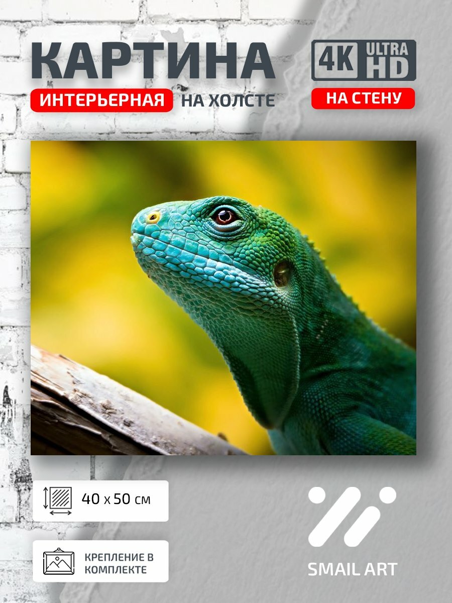 Картина на холсте интерьерная 40 на 50 на стену Ящерица Landscape для спальни пейзаж декор