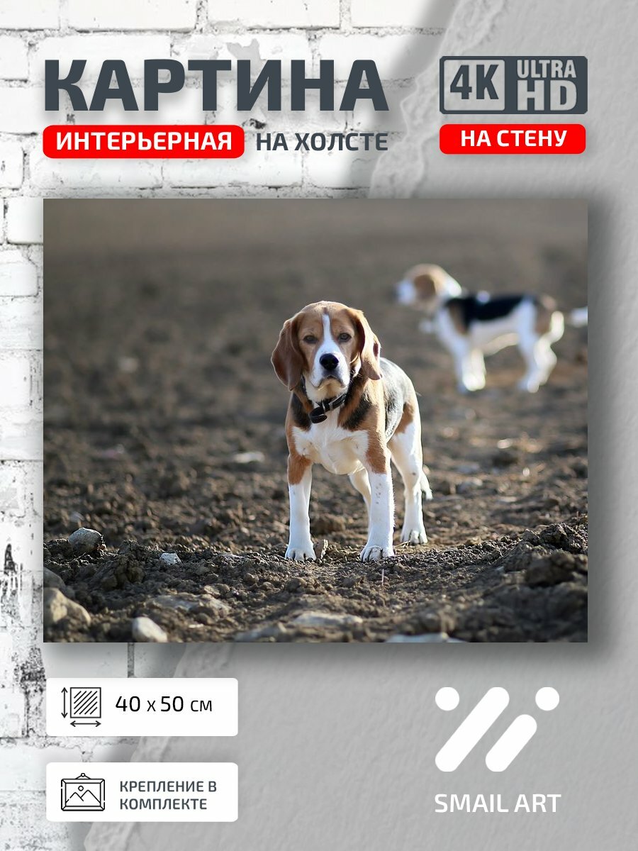 Картина на холсте интерьерная 40 на 50 на стену Собаки Animal для кабинета animal style