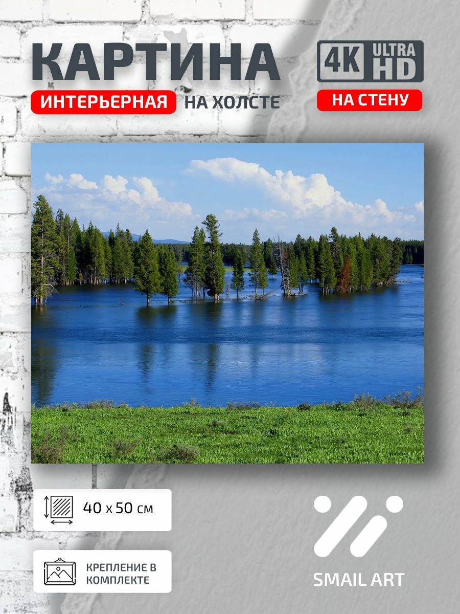 Картина на холсте интерьерная 40 на 50 на стену Паводок Landscape для гостиной пейзаж декор