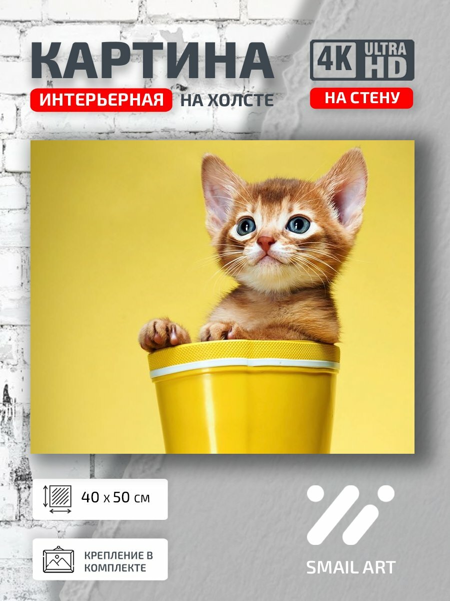Картина на холсте интерьерная 40 на 50 на стену Рыжий Animal для детской animal style декор