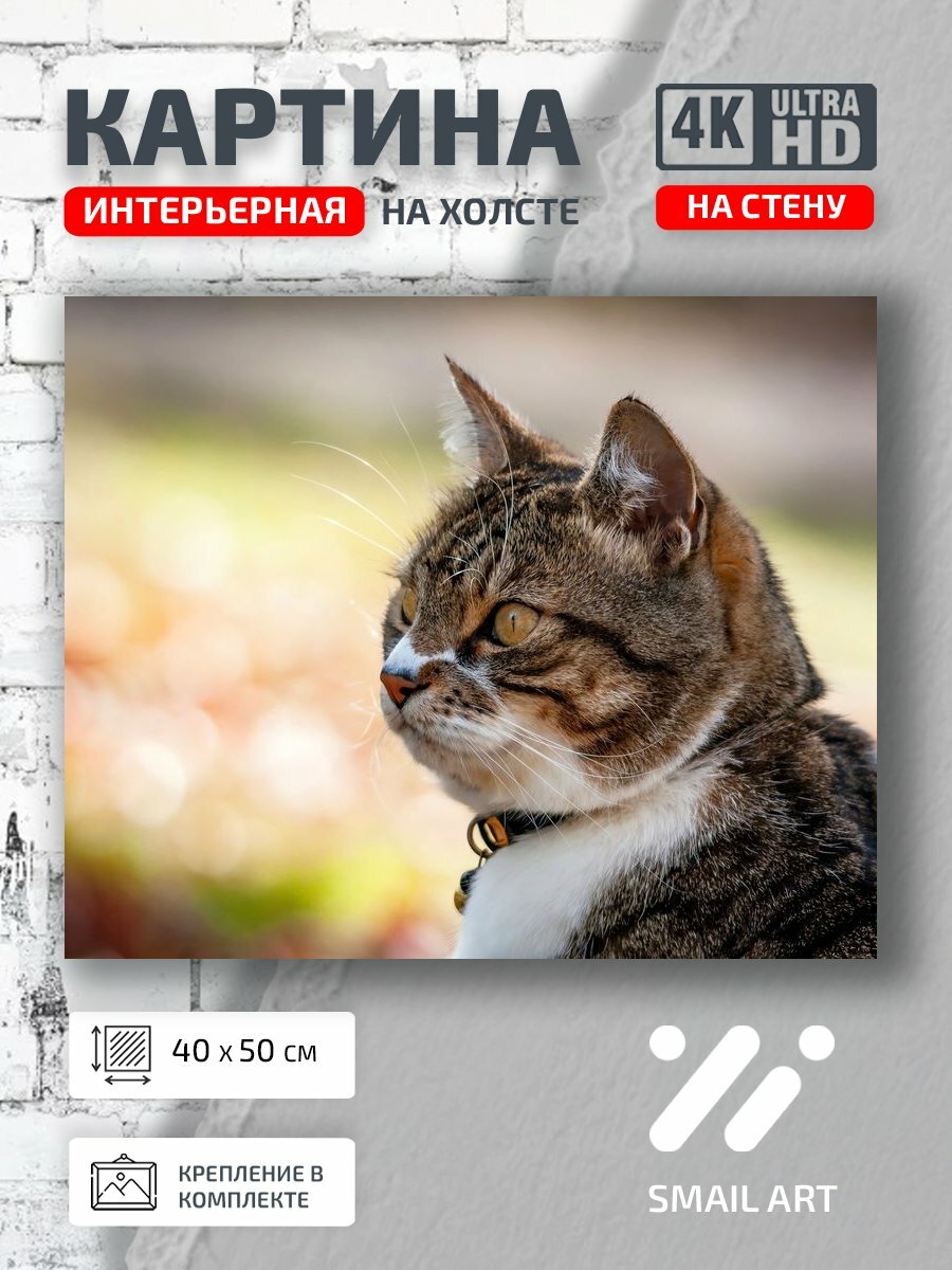 Картина на холсте интерьерная 40 на 50 на стену План Animal для детской animal style декор