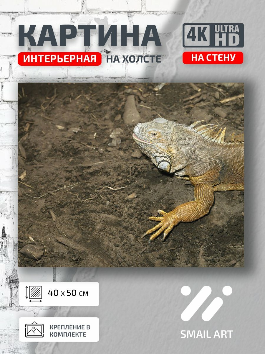 Картина на холсте интерьерная 40 на 50 на стену Ерица Mood для спальни атмосфера интерьер
