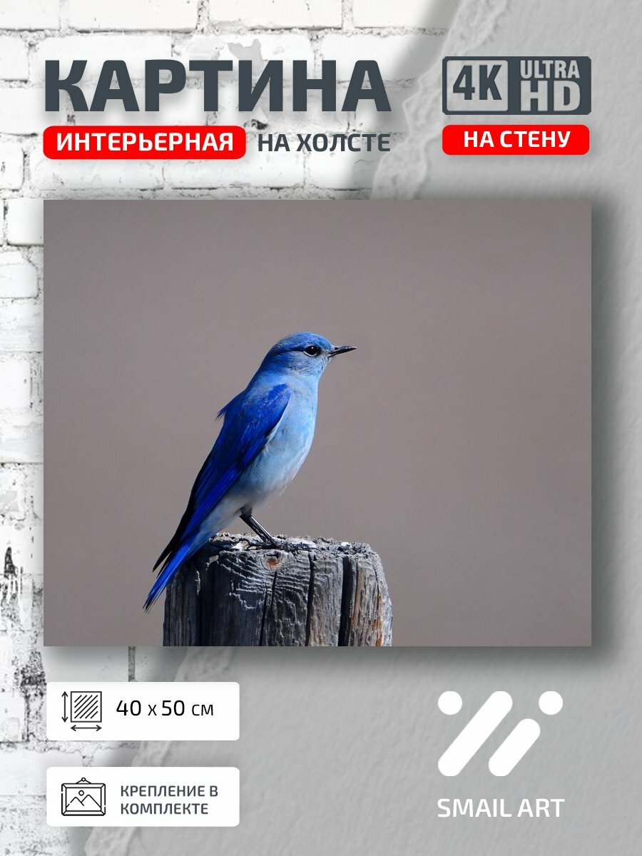 Картина на холсте интерьерная 40 на 50 на стену Птичка Mood для кабинета атмосфера интерьер