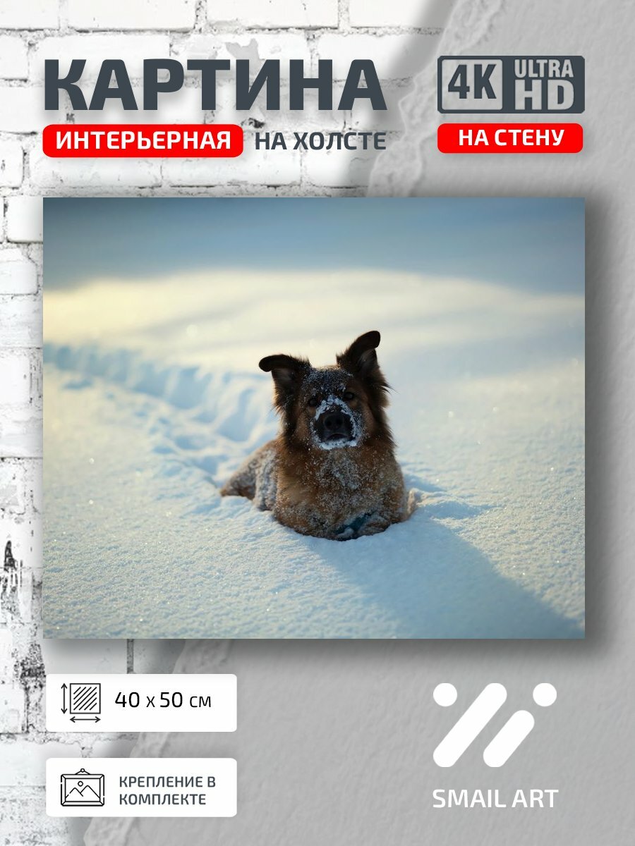 Картина на холсте интерьерная 40 на 50 на стену Снегу Animal для детской animal style декор