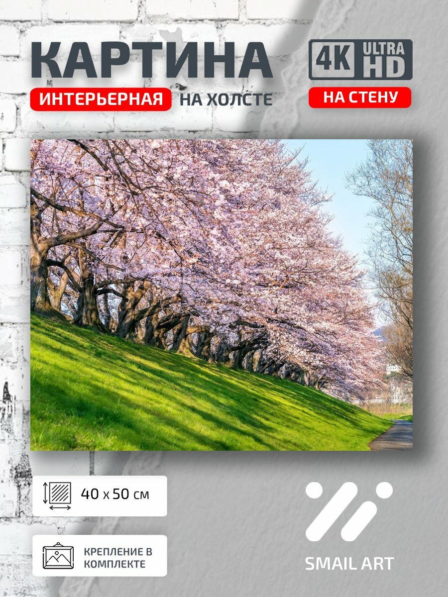 Картина на холсте интерьерная 40 на 50 на стену Цветение japan для офиса атмосфера интерьер