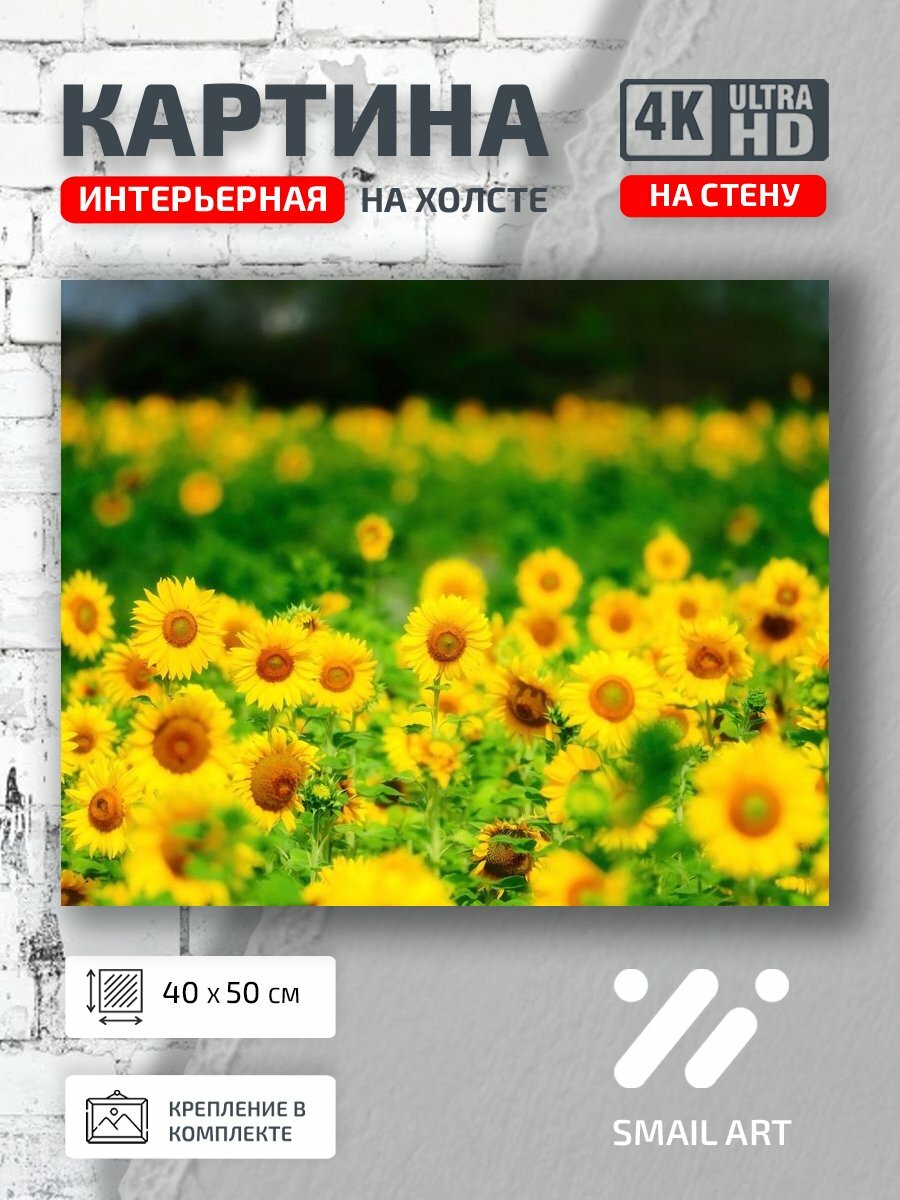 Картина на холсте интерьерная 40 на 50 на стену Подсолнухов Landscape для спальни пейзаж