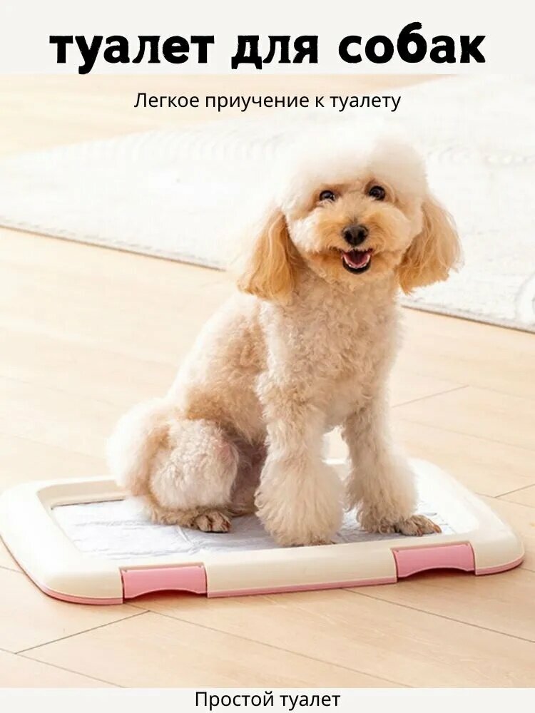 Лоток для собак под пеленку, лоток для собак под пеленку,48.5*36.5*3cm