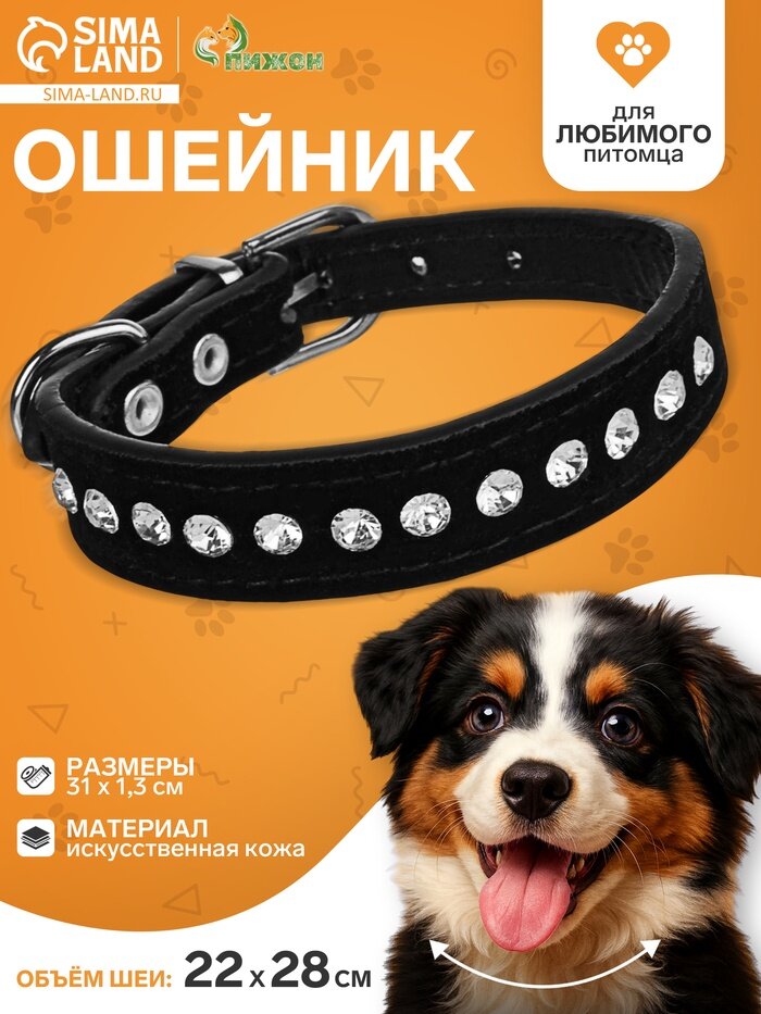 Ошейник «Бархат и стразы», 31×1.3/2 см, ОШ 22-28 см, чёрный