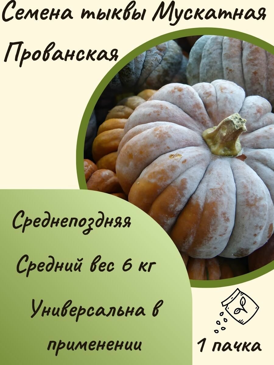 Семена тыквы Мускатная Прованская, 10 шт. семян