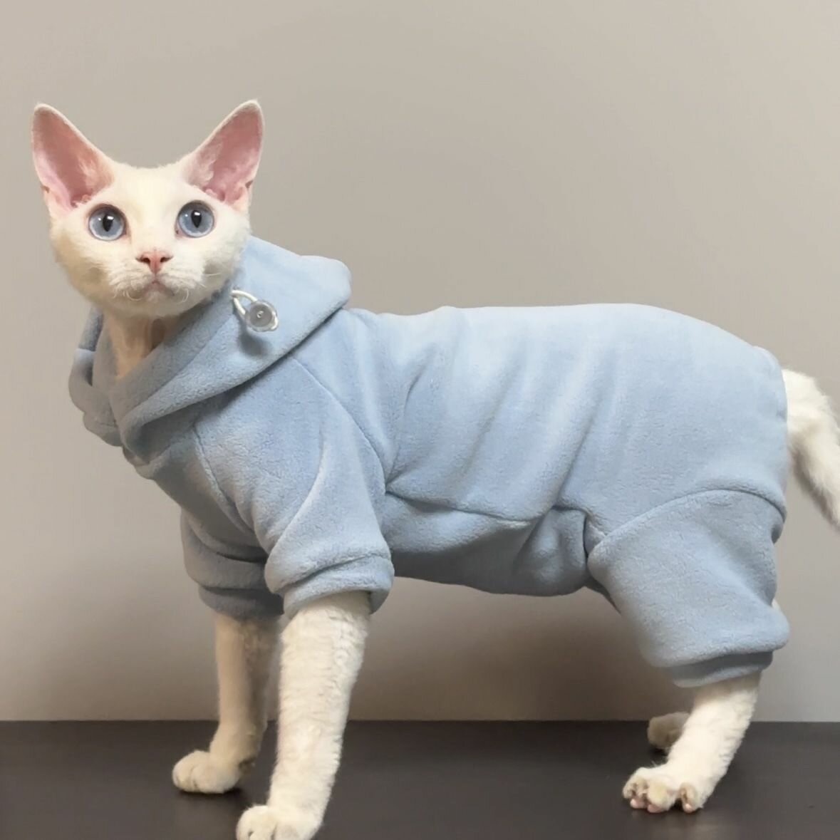 Флисовое пальто для кошки Сфинкс, теплая толстовка, комбинезон для домашних животных на 4 лапы