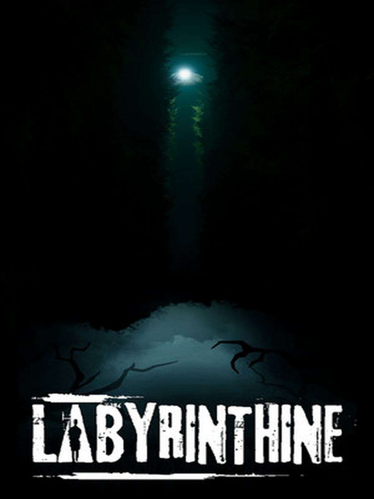 Steam Labyrinthine игра в электронном формате | для аккаунтов Южной Африки | игра в подарок (Steam Gift)